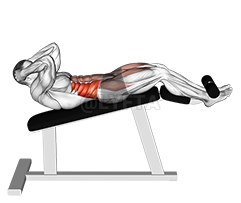 Incline Twisting Sit-up - Video Guide | Lyfta