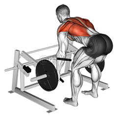 Lever Row - Video Guide | Lyfta