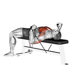 Band Bench Press - Video Guide | Lyfta