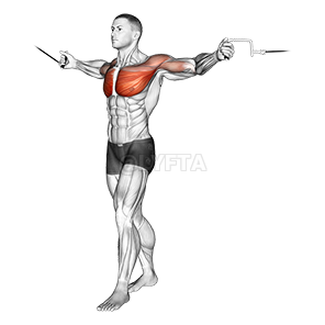 Standing Up Straight Crossovers - Video Guide | Lyfta