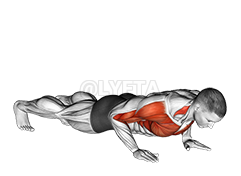 Clap Push Up - Video Guide | Lyfta