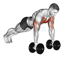 Deep Push Up - Video Guide | Lyfta