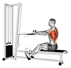 Remo sentado con cuerda - Guía en Video | Lyfta