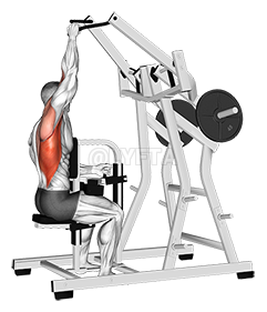 Lever One Arm Lateral Wide Pulldown - Video Guide | Lyfta