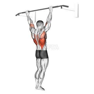 Wide Grip Rear Pull-Up - Video Guide | Lyfta