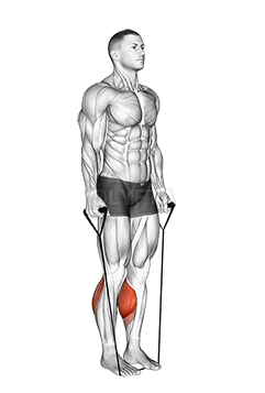 Band Two Legs Calf Raise - - Video Guide | Lyfta