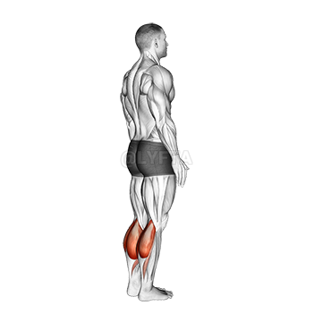 Bodyweight Standing Calf Raise - Video Guide | Lyfta