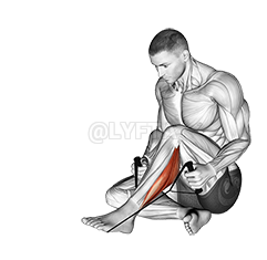 Peroneals Stretch - Video Guide | Lyfta