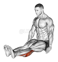 AI-Workout Generator: Full Body Stretching Routine