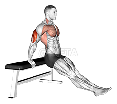 Exercicio De Mergulho De Triceps Tríceps Mergulho No Banco: Dicas E