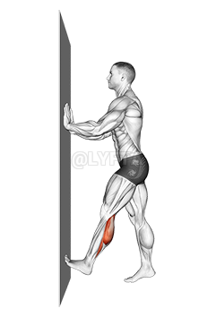 Étirement du mollet avec les mains contre le mur - Guide vidéo | Lyfta