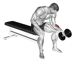 One Arm Seated Neutral Wrist Curl - Video Guide | Lyfta
