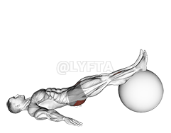 Exercise Ball One Legged Diagonal Kick Hamstring Curl - Kuzungonda ...