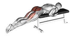 Reverse Hyper on Flat Bench - Video Guide | Lyfta