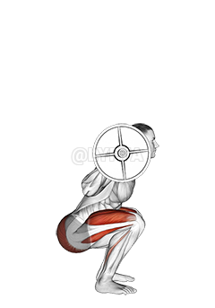 Sentadilla completa con barra - Guía en Video | Lyfta