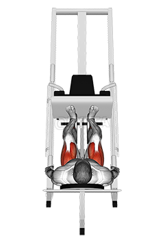 Sled 45° Leg Press - Video Guide | Lyfta