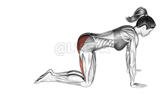 Terugslag met rechte benen - Videogids | Lyfta