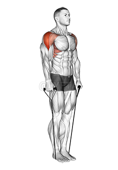 Band Lateral Raise - Video Guide | Lyfta