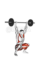 Barbell Snatch Balance - Video Guide | Lyfta