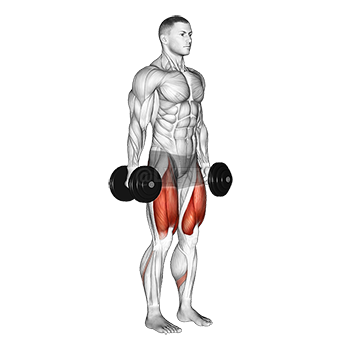 Squat - Video Guide | Lyfta