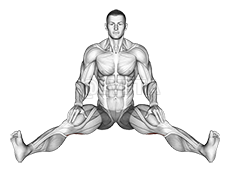 Seated Wide Angle Pose Sequence - Video Guide | Lyfta