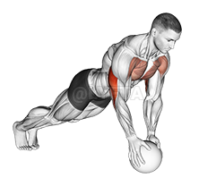 Medicine Ball Close Grip Push Up - Video Guide | Lyfta