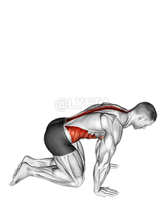 Kneeling Back Rotation Stretch - Video Guide | Lyfta