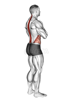 Standing Back Rotation Stretch - Video Guide | Lyfta