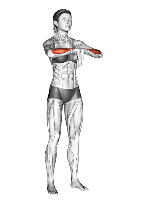 Istezanje ekstenzora zapešća - Video Vodič | Lyfta