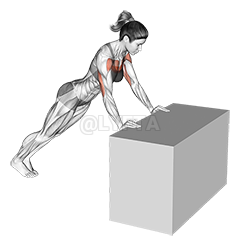 Incline Push Press - Video Guide | Lyfta