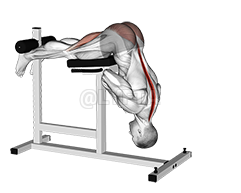 Hyperextension - Video Guide | Lyfta