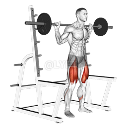 Lae Bar Squat met rek - Video Gids | Lyfta