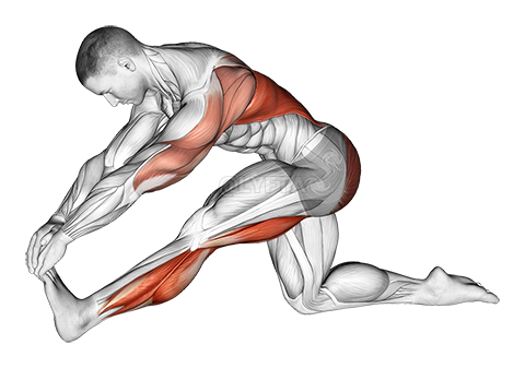 AI-Workout Generator: Full Body Stretching Routine