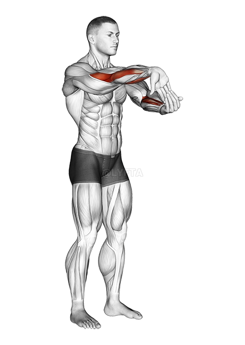 Fingers Down Forearm Stretch - Video Guide | Lyfta