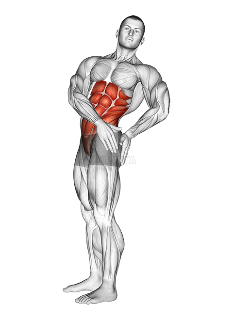 Standing Abs Rotation Stretch - Video Guide | Lyfta