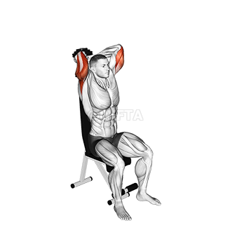 Extensión de tríceps sentado con mancuernas - Guía en Video | Lyfta
