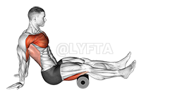 Roll Hamstrings Sitting on Floor - Video Guide | Lyfta