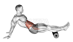 Roll Calves - Video Guide | Lyfta