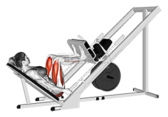 Sled 45 degrees Leg Press - Video Guide | Lyfta
