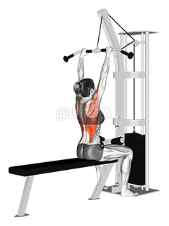 Cable Bar Lateral Pulldown - Video Guide | Lyfta