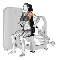 Lever Seated Dip - Video Guide | Lyfta