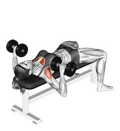 Press de banca con mancuernas - Guía en Video | Lyfta