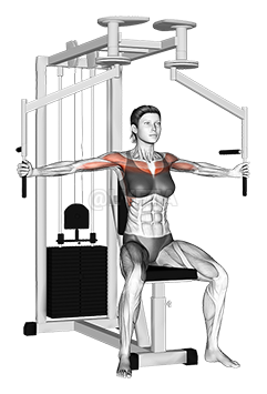 Mosca sentada con palanca - Guía en Video | Lyfta