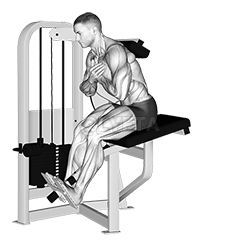 Lever Back Extension - Video Guide | Lyfta