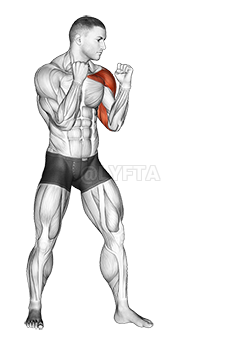 Pinchazo. Boxeo - Video Guide | Lyfta
