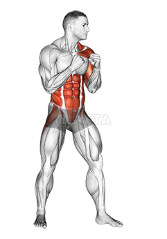 Left Uppercut. Boxing - Video Guide | Lyfta