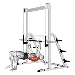 Inverted Row Bent Knees - Video Guide | Lyfta