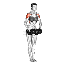 Dumbbell Standing Bent Arm Lateral raise - Video Guide | Lyfta