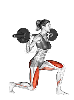 Barbell Split Squat - Video Guide | Lyfta