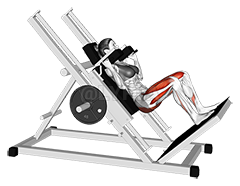 Sentadilla en trineo - Guía en Video | Lyfta